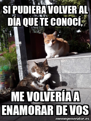 Meme Personalizado - Si pudiera volver al día que te conocí, me ...