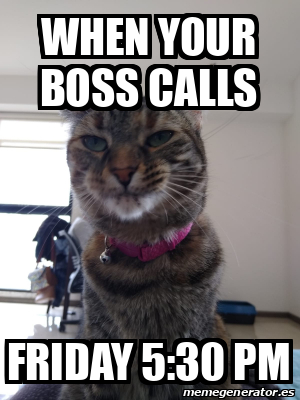 Meme Personalizado - When your boss calls Friday 5:30 pm - 33169177