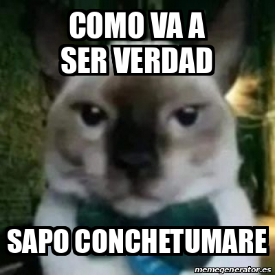 Meme Personalizado - COMO VA A SER VERDAD SAPO CONCHETUMARE - 33171568