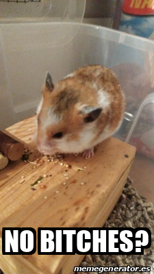 Meme Personalizado - No bitches? - 33175055