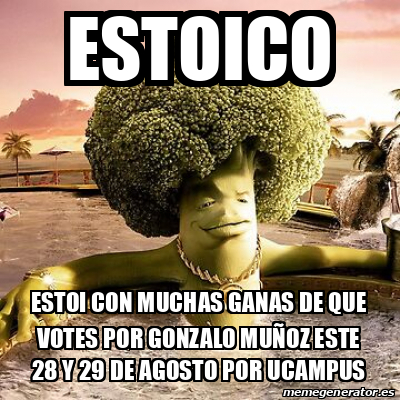 Meme Personalizado - ESTOICO ESTOI CON MUCHAS GANAS DE QUE VOTES POR ...
