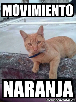 Meme Personalizado - Movimiento Naranja - 33178431