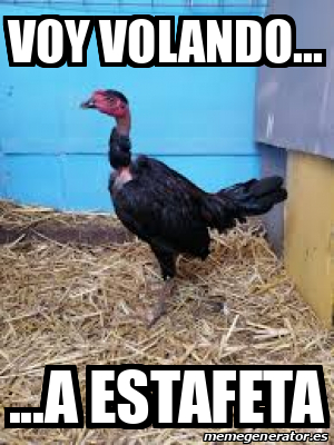 Meme Personalizado - VOY VOLANDO... ...A ESTAFETA - 33179045