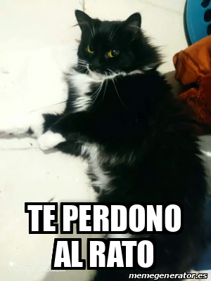 Meme Personalizado - Te perdono al rato - 33179282