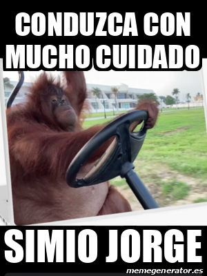 Meme Personalizado - Conduzca con mucho cuidado Simio Jorge - 33180685