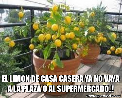 Meme Personalizado - EL LIMON DE CASA CASERA YA NO VAYA A LA PLAZA O AL ...