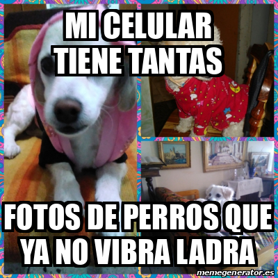 Meme Personalizado - Mi celular tiene tantas Fotos de perros que ya no ...
