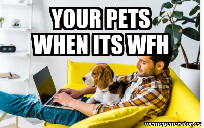 Meme Personalizado - Your pets when its wfh - 33192790
