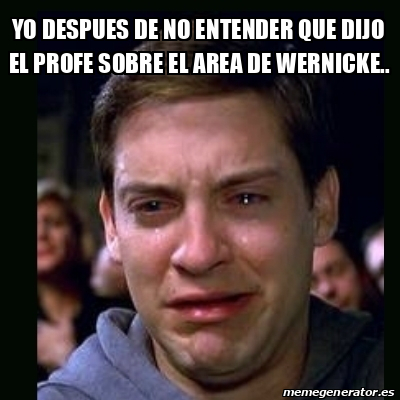 Meme crying peter parker - yo despues de no entender que dijo el profe ...