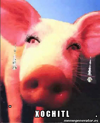 Meme Personalizado - . X o c h i t l . - 33197228