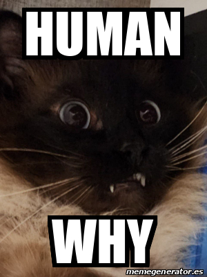 Meme Personalizado - human why - 33197403
