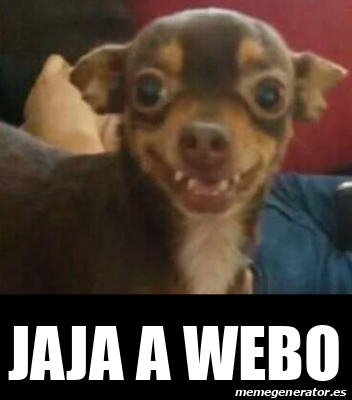 Meme Personalizado - Jaja a webo - 33197735