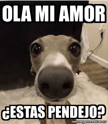 Meme Personalizado - ola mi amor ¿Estas pendejo? - 33198247