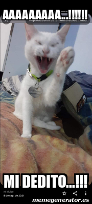 Meme Personalizado - Aaaaaaaaa...!!!!!! Mi dedito...!!! - 33200411