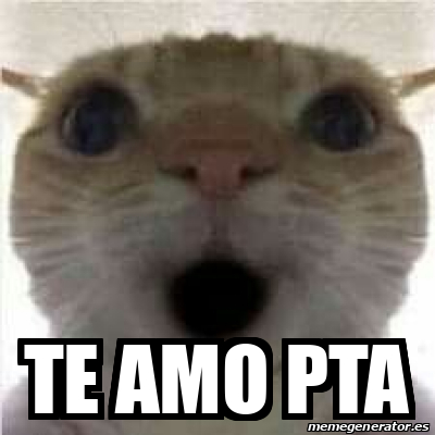 Meme Personalizado - Te amo pta - 33201615