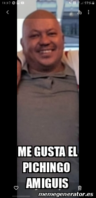Meme Personalizado - Me gusta el Pichingo amiguis - 33202379
