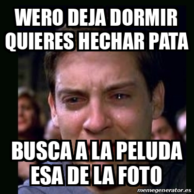 Meme crying peter parker - Wero deja dormir quieres hechar pata Busca a ...