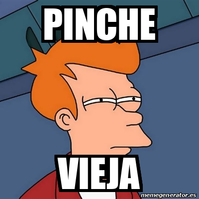 Meme Futurama Fry - pinche vieja - 33206213
