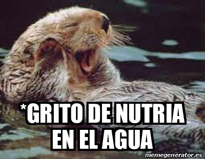 Meme Personalizado - *grito de nutria en el agua - 33207342