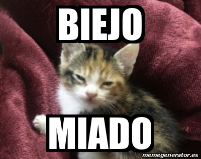 Meme Personalizado - Biejo Miado - 33208011