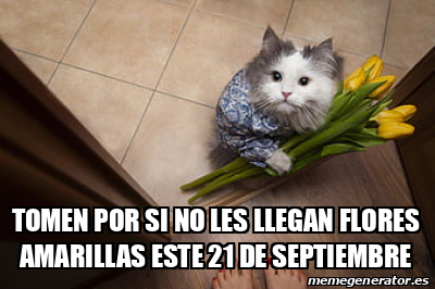 Meme Personalizado - Tomen Por si no les llegan flores amarillas este ...