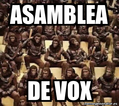 Meme Personalizado - asamblea de vox - 33209191