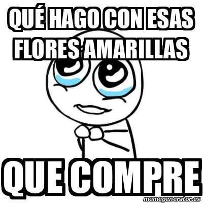 Meme Por favor - Qué hago con esas flores amarillas Que compre - 33209461