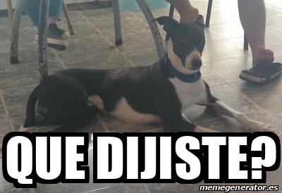 Meme Personalizado - Que dijiste? - 33211403