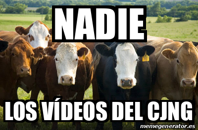 Meme Personalizado - Nadie Los vídeos del CJNG - 33212310