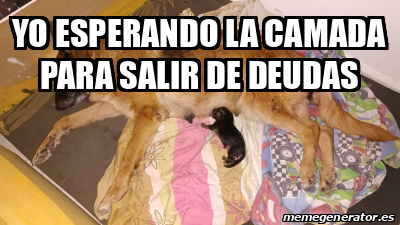 Meme Personalizado - Yo esperando la camada para salir de deudas - 33212540