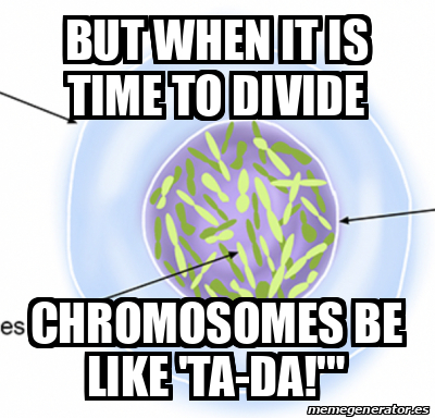 Meme Personalizado - BUT WHEN IT IS TIME TO DIVIDE chromosomes be like ...