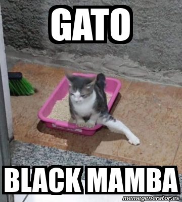 Meme Personalizado - gato BLACK MAMBA - 33217575