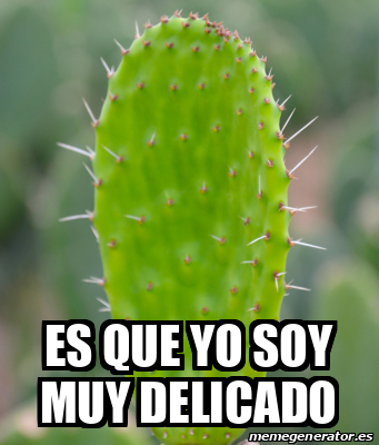 Meme Personalizado - ES QUE YO SOY MUY DELICADO - 33222239