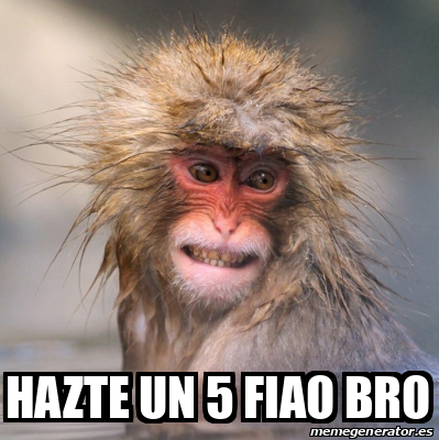 Meme Personalizado - Hazte un 5 FIAO BRO - 33223079