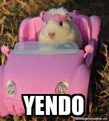 Meme Personalizado - yendo - 33224362