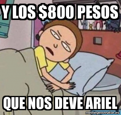 Meme Personalizado - Y LOS $800 PESOS QUE NOS DEVE ARIEL - 33225977