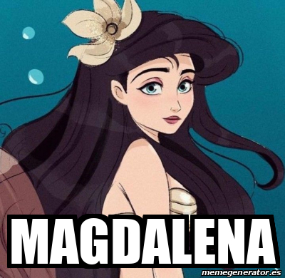 Meme Personalizado - magdalena - 33228095