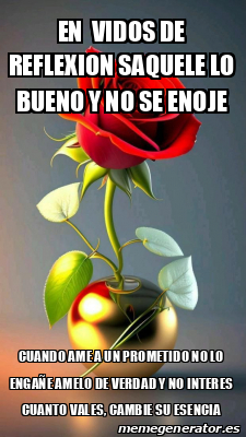 Meme Personalizado - EN VIDOS DE REFLEXION SAQUELE LO BUENO Y NO SE ...