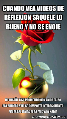 Meme Personalizado - CUANDO VEA VIDEOS DE REFLEXION SAQUELE LO BUENO Y ...
