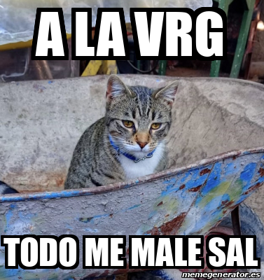 Meme Personalizado - A la vrg Todo me male sal - 33229438
