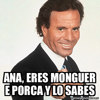 Meme Julio Iglesias - Ana, eres monguer e porca y lo sabes - 33231741