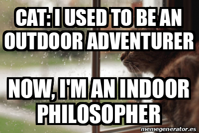 Meme Personalizado - Cat: I used to be an outdoor adventurer Now, I'm ...