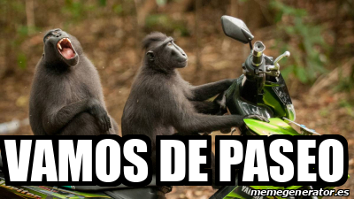 Meme Personalizado - vamos de paseo - 33241367