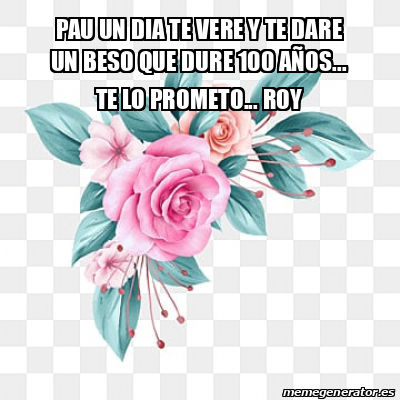 Meme Personalizado - Pau un dia te vere y te dare un beso que dure 100 ...