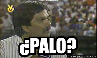 Meme Personalizado - ¿PALO? - 33244002