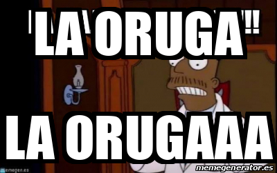 Meme Personalizado - La oruga La orugaaa - 33248739