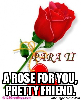 Meme Personalizado - A rose for you, pretty friend. - 33254643