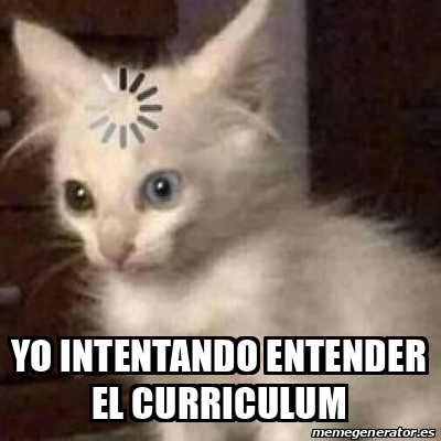 Meme Personalizado - YO INTENTANDO ENTENDER EL CURRICULUM - 33256216