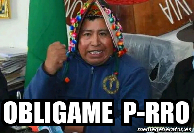 Meme Personalizado - Obligame p-rro - 33257639