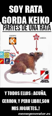 Meme Personalizado - SOY RATA GORDA KEIKO Y TODOS ELLOS : ACUÑA, CERRON ...